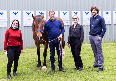 Transforming Pegasus-Riding for the Disabled with Top Notch IT